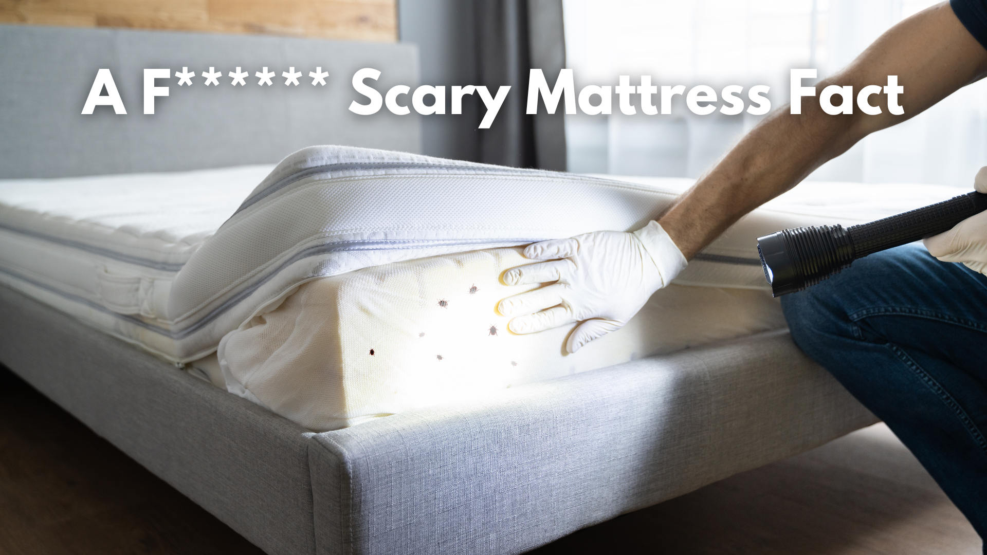 A F****** Scary Mattress Fact - Picket&Rail Custom Sofas & Furniture