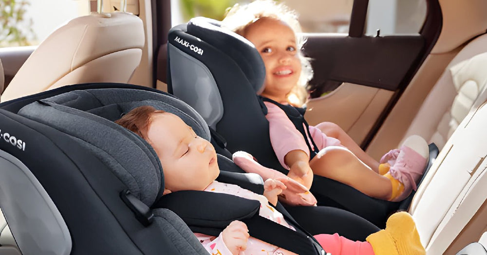 How a five-point safety harness keeps your child safe - Picket&Rail ...