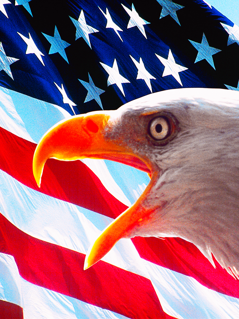 Picket&Rail - SG#1 Solid Wood Furniture Retailer And More - Picket&Rail ...